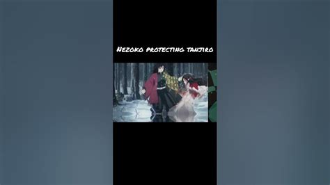 Nezuko Protecting Tanjiro 😢 Youtube