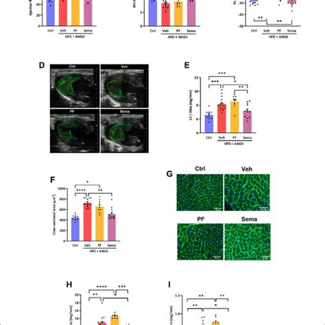 Effects Of Sema Treatment Or PF On Fibrosis And Cardiomyocyte Stiffness