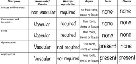 Kingdom Plantae Flashcards Quizlet
