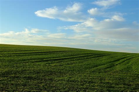 Campo Invierno Paisaje Foto Gratis En Pixabay Pixabay
