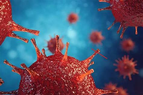 Sida Y Vih Cuáles Son Sus Diferencias Cómo Se Transmite Y Formas De