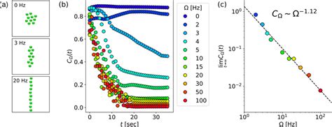A Typical Steady State Configurations For Ten Particle Clusters For