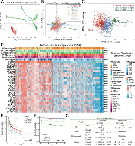 Unsupervised Learning To Identify Three Classification Keywords AB Download Scientific Diagram