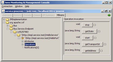 Apache CXF JMX Management