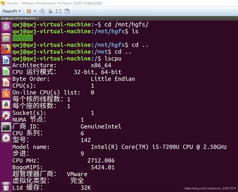 实验 linux下c工具应用 编写 showbyte c 以16进制显示文件hello c等的内容 每行16个字符 上一行为字符 csdn博客