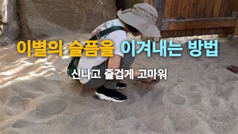 이민 Vlog 독일에서 하는 두번째 이별 슬픔을 이겨내는 방법 Youtube