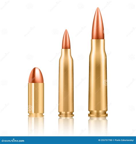 Bullet Types Silhouette Cartoon Vector CartoonDealer Com 51881911