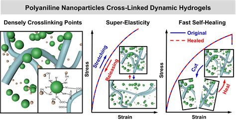 Highly Stretchable Ultra Soft And Fast Self Healable Conductive Hydrogels Based On Polyaniline