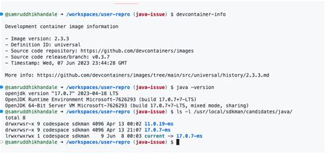 Java Version Specified As But Container Installs Issue