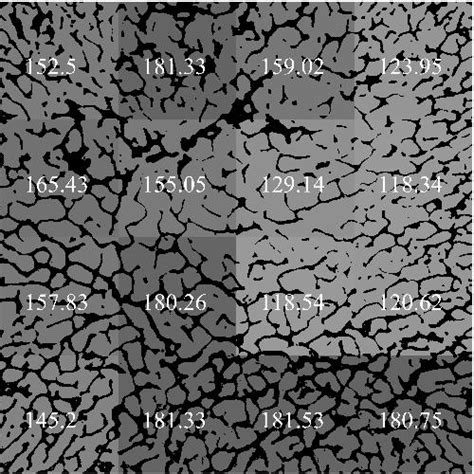 Map Bonemicrostructure Plugin And Demo