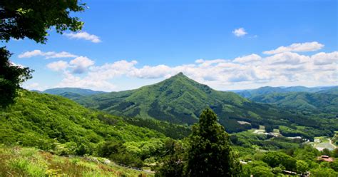 田村市で林業を始めよう たむら暮らし