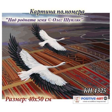 Картина за рисуване по номера Над Родната земя 40х50см с подрамка и подаръчна кутия Идейка КН