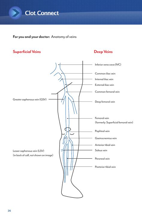 North Carolina Deep Vein Thrombosis And Pulmonary Embolism