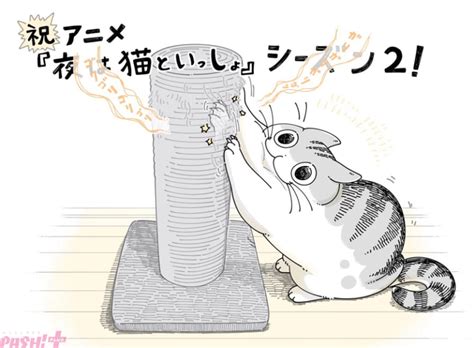 アニメ『夜は猫といっしょ』大好評につきシーズン2配信決定！ メインビジュアルや原作・キュルzさんのお祝いイラスト解禁 Pash