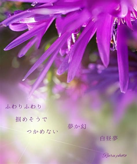 『心色‥。kokoroiro』