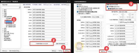 PotPlayer 開啟顯示卡硬體加速硬解 DXVA 設定教學 傳說中的挨踢部門