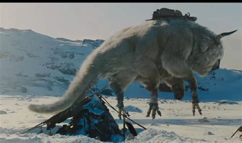The First Time I Saw The Cgi Appa From Redacted I Was So Confused I