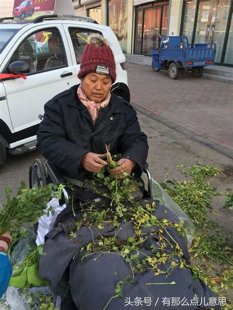 50歲農村大姐坐輪椅笑著賣香菜，稱種了十畝香菜，一個集能賣20斤 每日頭條