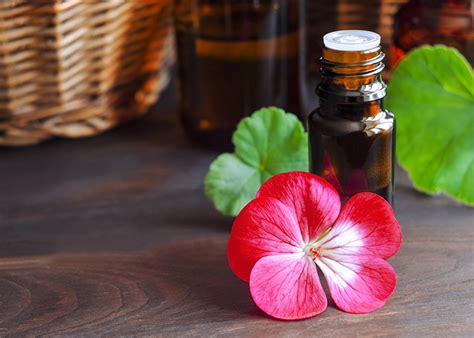 The 12 Best Essential Oils For Sagging Skin Wellme