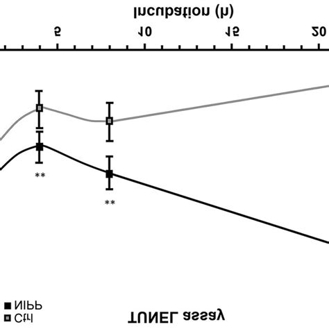 Terminal Deoxynucleotidyl Transferase Dutp Nick End Labeling Assay To
