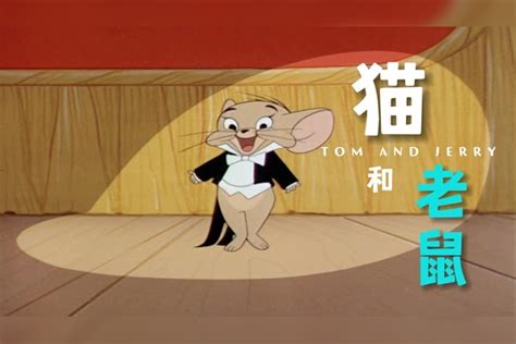 猫和老鼠：猫咪参加演出，却被老鼠取而代之，它会善罢甘休吗老鼠演出猫咪