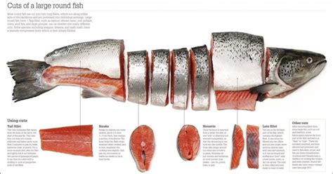Fish Filleting Demystified Tips And Tricks For The Perfect Slice