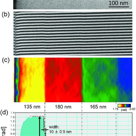 N Gan Model Sample With Different Si Dopant Concentrations A Download Scientific Diagram