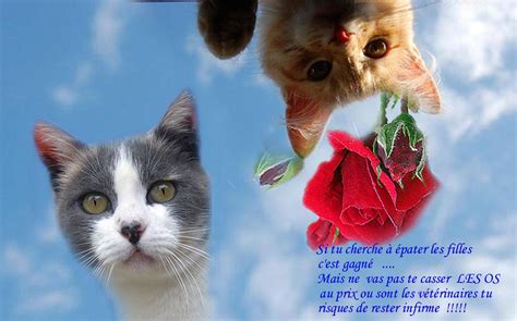 Trop Bonne
