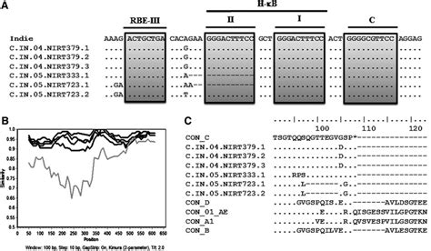 Genetic Characterization Of Hiv 1c Long Terminal Repeat Ltr And Rev
