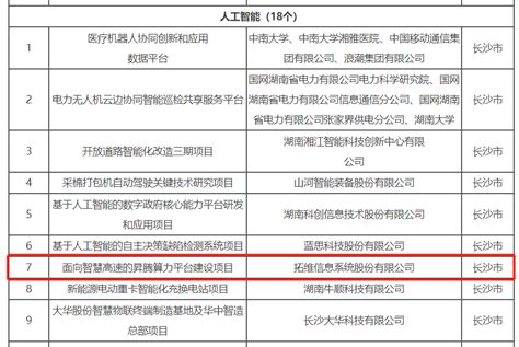 喜报】兆瀚昇腾人工智能项目入选《湖南省“数字新基建”100个标志性项目》财富号东方财富网