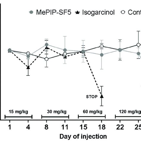 In Vivo Toxicity Of Mepip Sf5 And Isogarcinol The Body Weight Of The