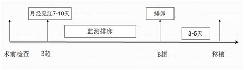 常用促排卵方案