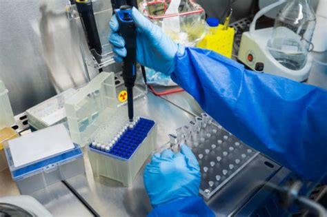 890개 이상의 Pcr Reaction 스톡 사진 그림 및 Royalty Free 이미지 Istock