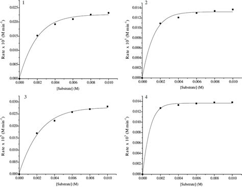 plot of the initial rates versus substrate concentration for the