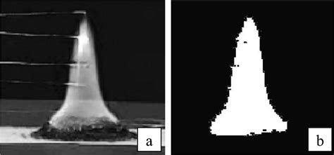 image processing a image extracted from the movie b binary image