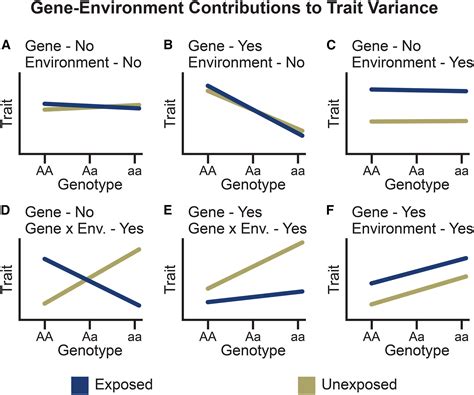Gene Environment Interactions Within A Precision Environmental Health