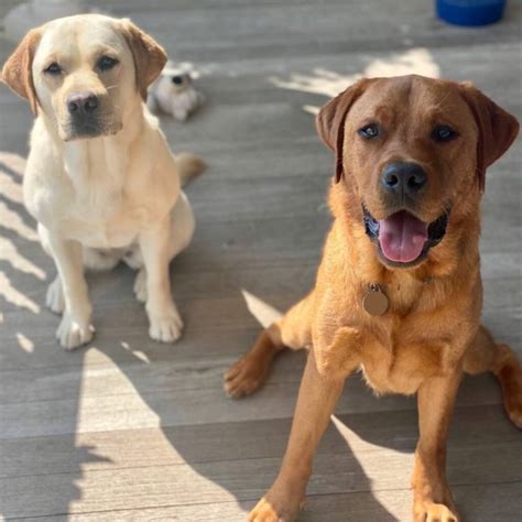 The Strudwick File Whats In A Name Megyn Kelly