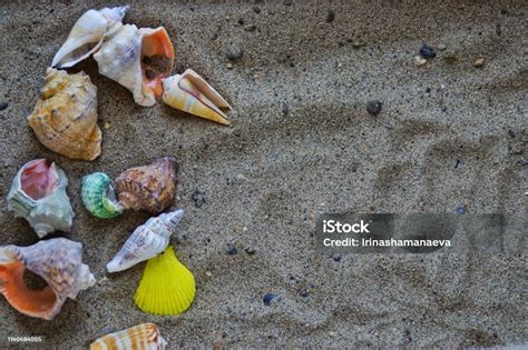 밝은 파란색 배경 해변 휴가 및 바다에 바다와 강 포탄의 다양 한 관광객에 대한 스톡 사진 및 기타 이미지 관광객 꼭대기