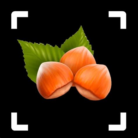 Nut Identifier Nut Id By Suleyman Can Ahsen