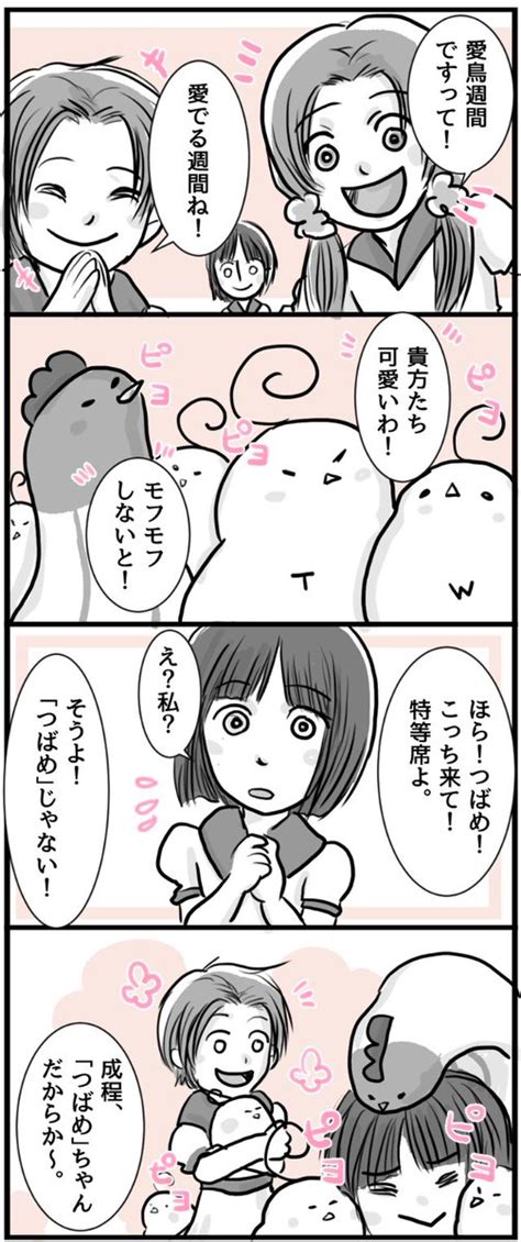 も🚅りもり On Twitter 愛🐤週間でもあり、母の日でもあり・・。 つ ば め といったら、さんよーさんは「つ ば めちゃん」一