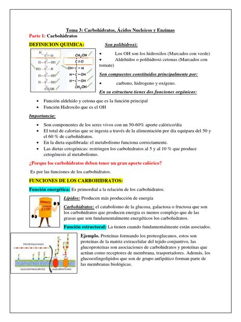 Documento Carbohidratos Pdf Carbohidratos Nucleótidos