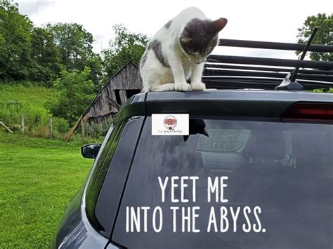 Yeet Me Into The Sun Yeet Decal Meme Ts Yeet Or Be Etsy