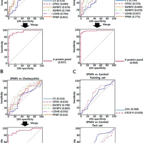 Classification Table Of The Ipmn Multiprotein Panel A Training Set Download Table