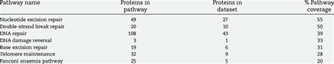 Pathway Coverage Of The Dna Repair Pathways Pathways Are Those Download Table