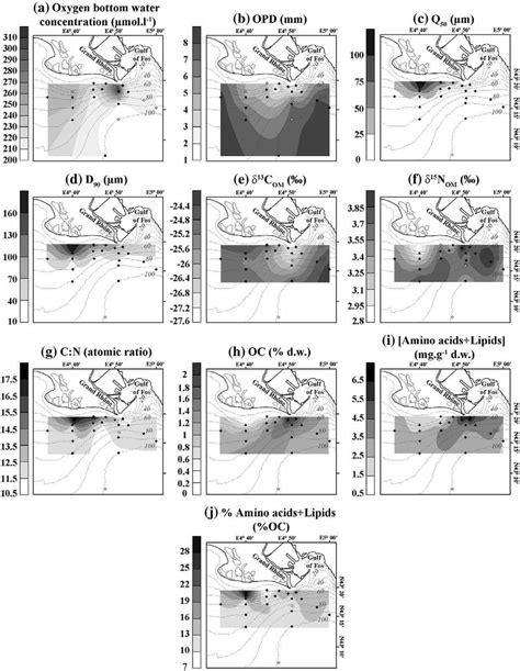 spatial distribution of the different analysed environmental