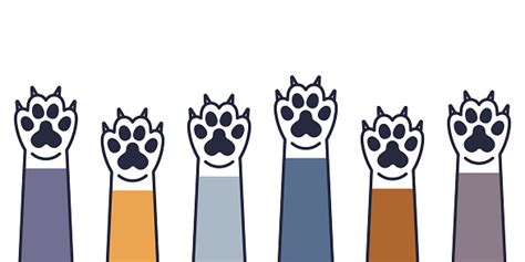 벡터에 발톱이 있는 귀여운 고양이 발 세트 갈고리 발톱에 대한 스톡 벡터 아트 및 기타 이미지 갈고리 발톱 고양이 새끼