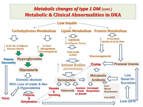 PPT Biochemical Aspects Of Diabetes Mellitus PowerPoint Presentation