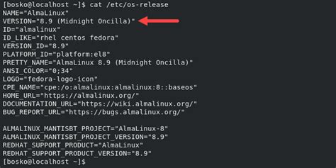 How To Migrate CentOS To AlmaLinux PhoenixNAP KB