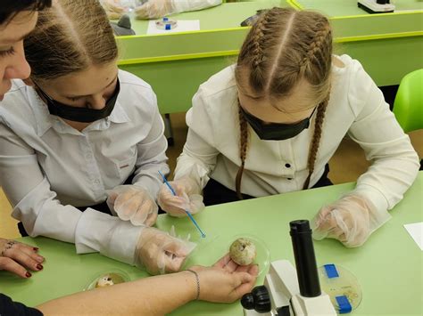 Занятие по биологии «Чудодейственный пенициллин 27 ноября 2023 года МБОУ Лицея №82 п