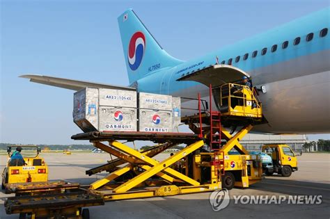 더쿠 대한항공 여객기 좌석 뜯고 화물 싣는 방안도 추진